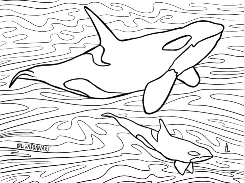 Killer Whale Coloring Page